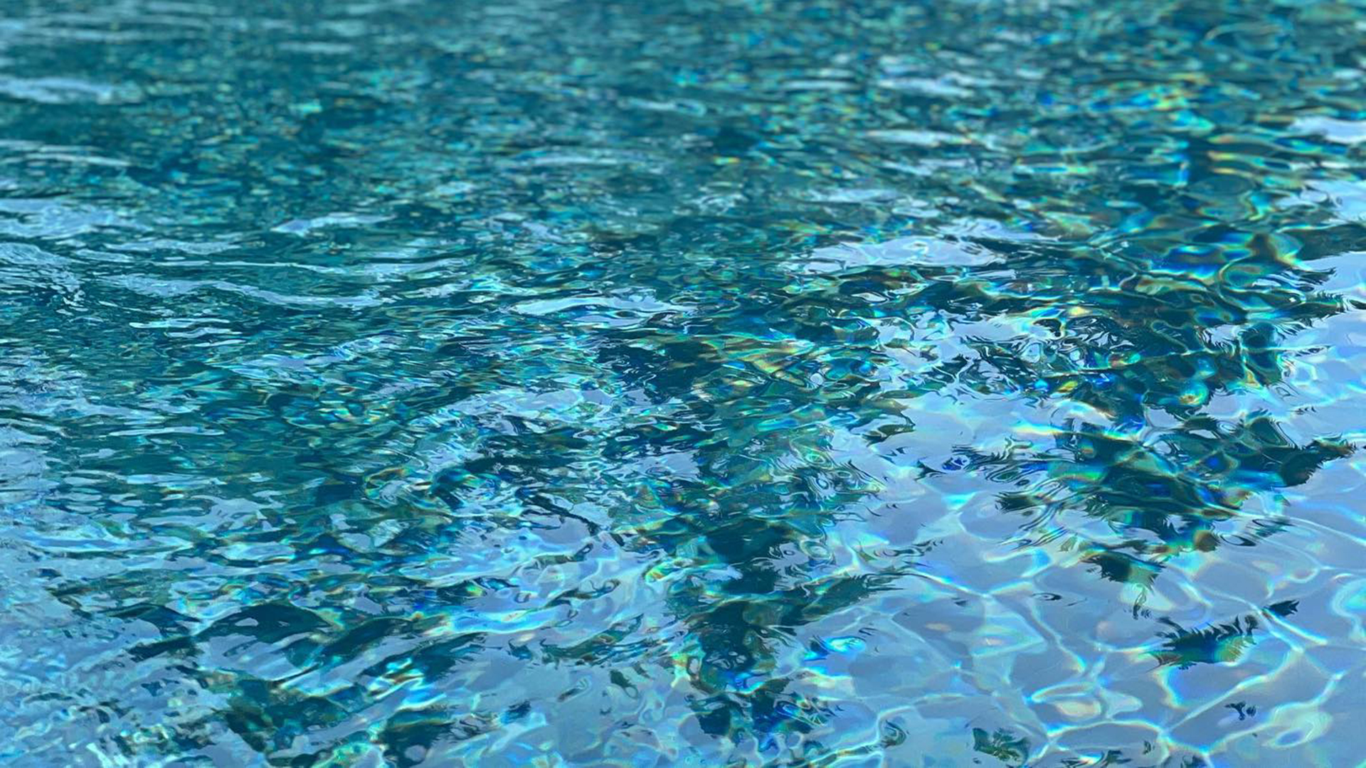 The Pearl Tanning Ledge | Pools | Godfrey and Jones